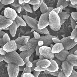 News_Nano.gif | Electronics Cooling